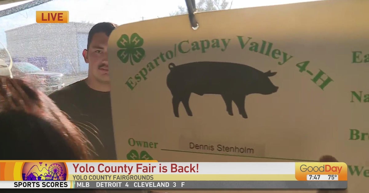 Yolo County Fair is Back! - Good Day Sacramento