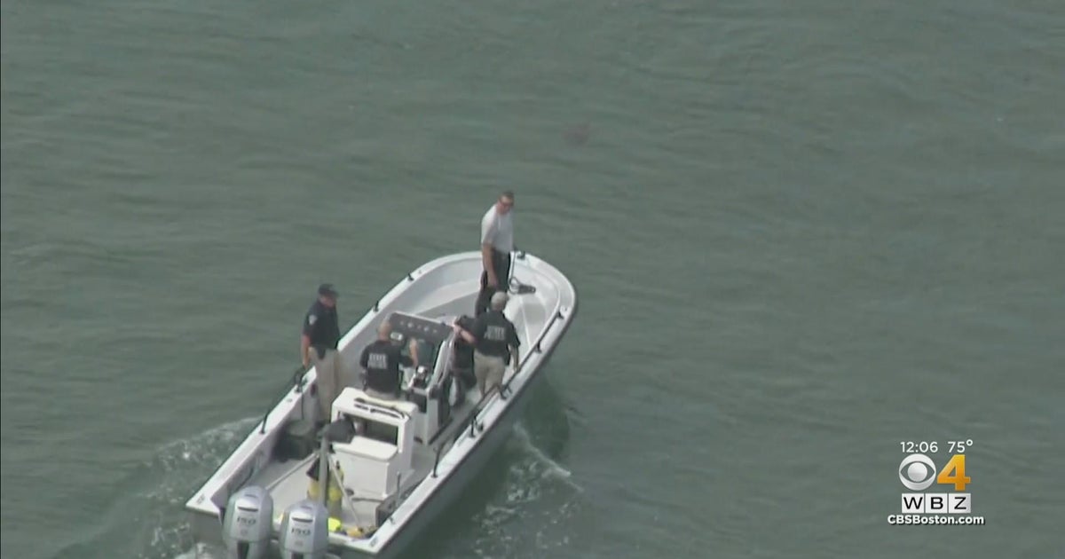 Search For Missing Swimmer Who Jumped Off Jaws Bridge On Martha S