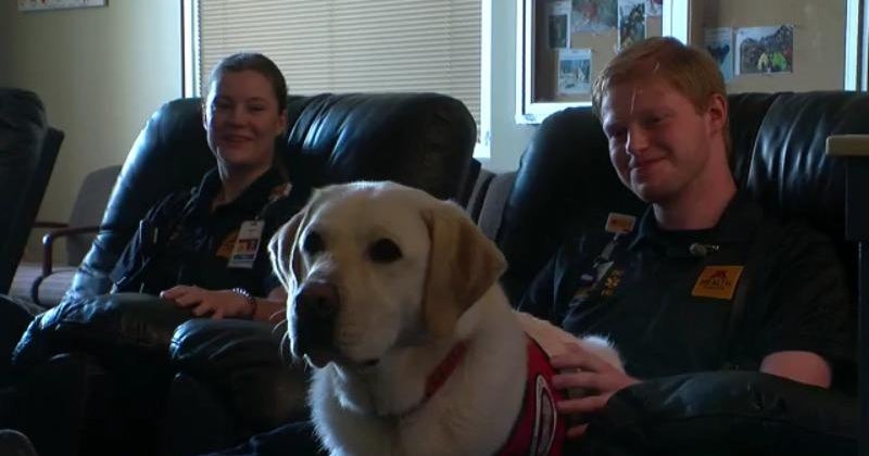 The Uplift: Dog helps EMS workers cope with stress of job - CBS Minnesota