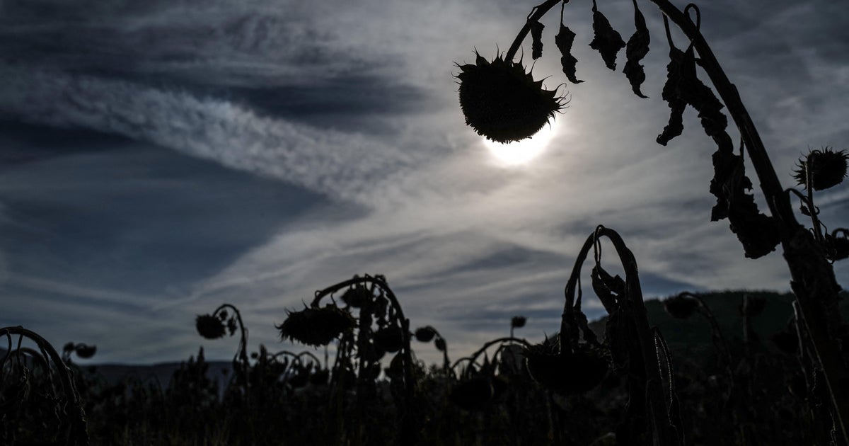 Europe's drought is the worst in 500 years, officials say, as two ...