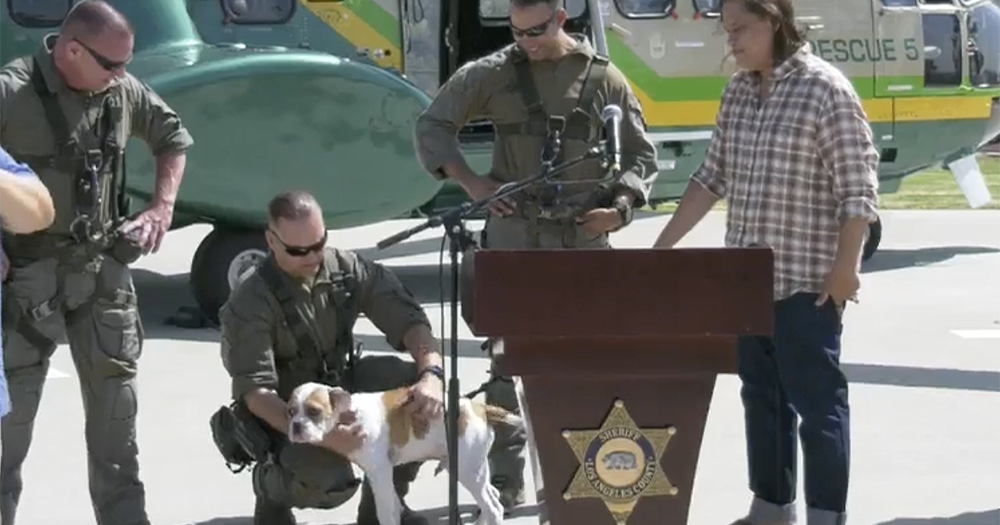 Puppy, owner reunite with LASD air crew that rescued them from Mt ...