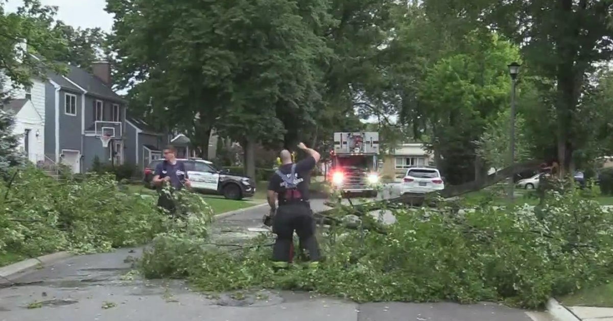 Residents recall Monday's suburban severe storm damage - CBS Chicago