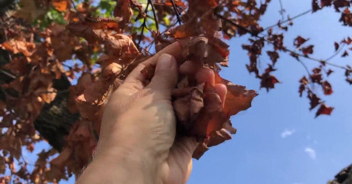 Drought conditions in parts of Tri-State Area threatening to impact ...