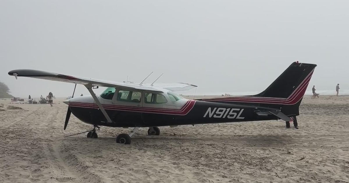Small Plane Passenger Describes Terrifying Emergency Landing On