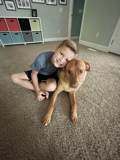 7-year-old boy with congenital heart defect denied lifesaving medical ...