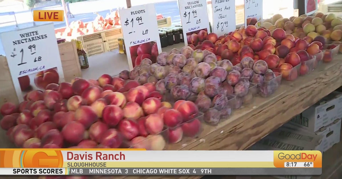 Davis Ranch - Good Day Sacramento