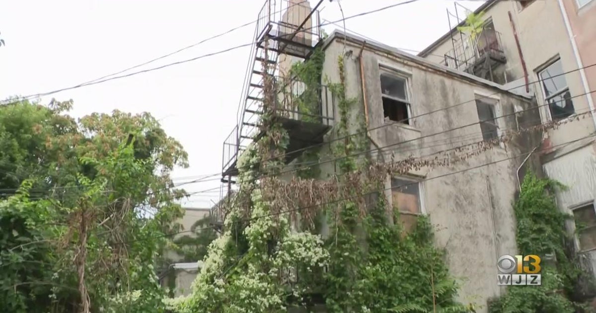 Property owner finds human remains in backyard of W. Baltimore home ...