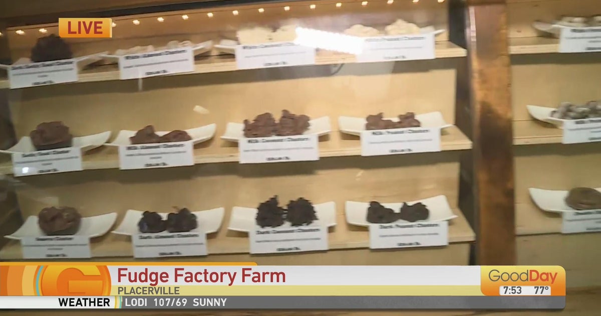 Fudge Factory Farm - Good Day Sacramento