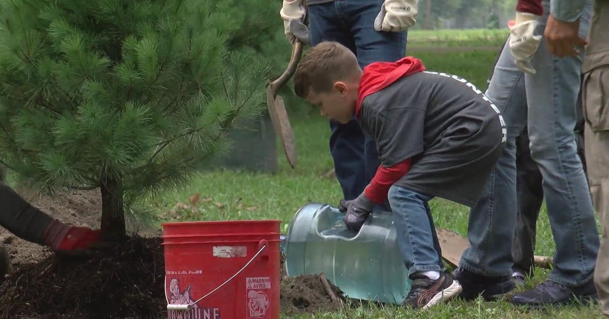Xcel Energy Day of Service continues as volunteers plant trees - CBS ...