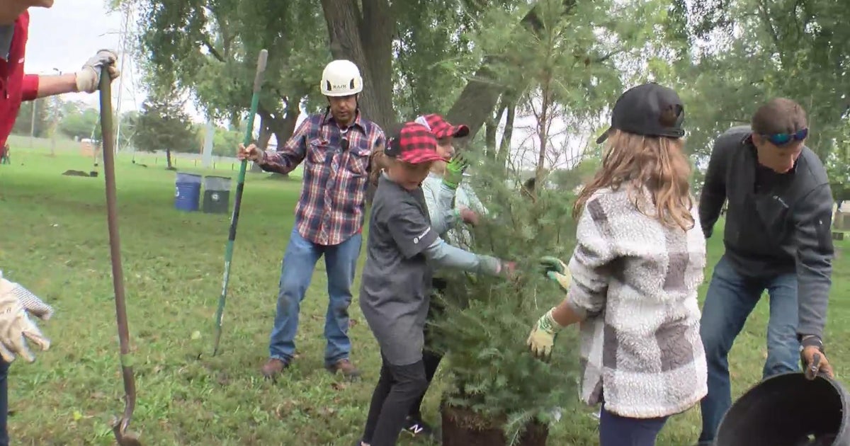 Xcel Energy Day of Service continues as volunteers plant trees - CBS ...
