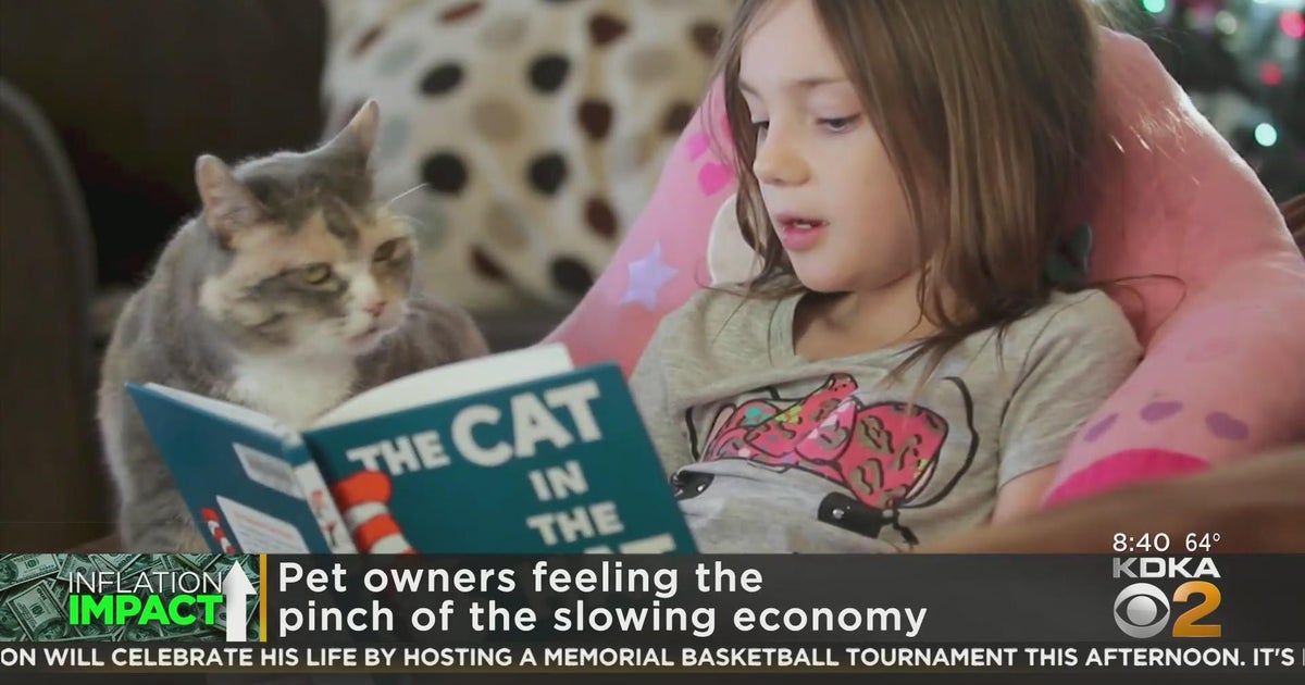 Pets feeling the inflation pinch - CBS Pittsburgh