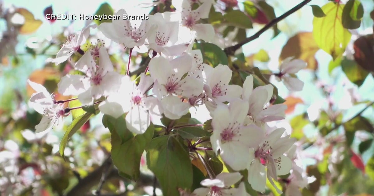 Partnership aims to create pollinator habitats alongside apple orchards ...