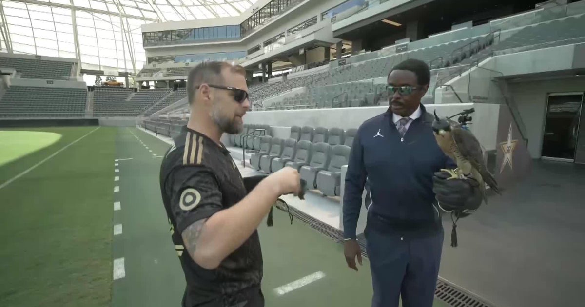 Jim Hill flies an LAFC Falcon - CBS Los Angeles