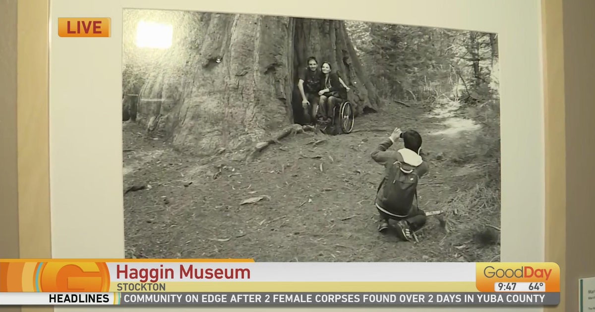 Haggin Museum - Good Day Sacramento