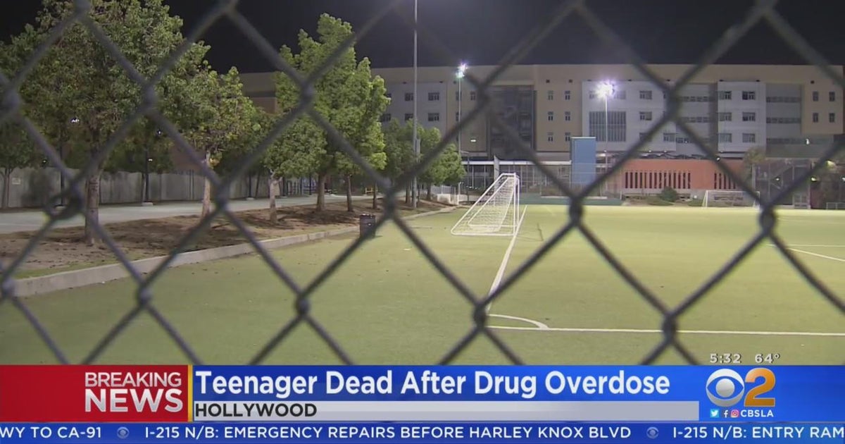 Teen found dead of overdose at Hollywood school, 3 others hospitalized ...