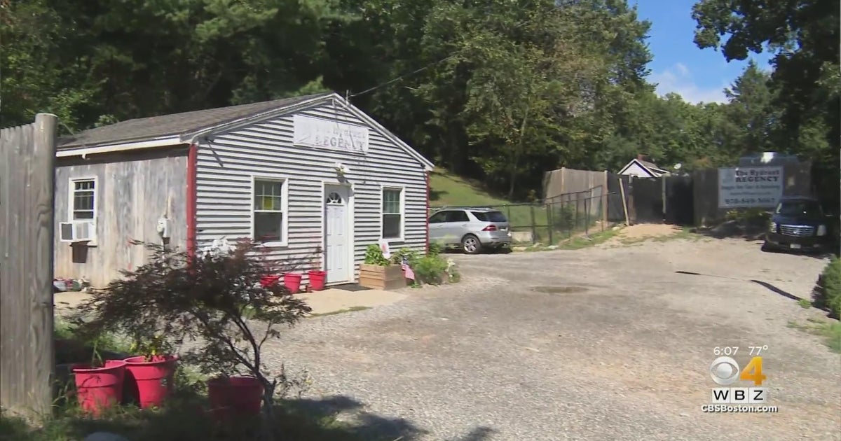 Owner of Rowley dog kennel faces 39 animal cruelty charges - CBS Boston