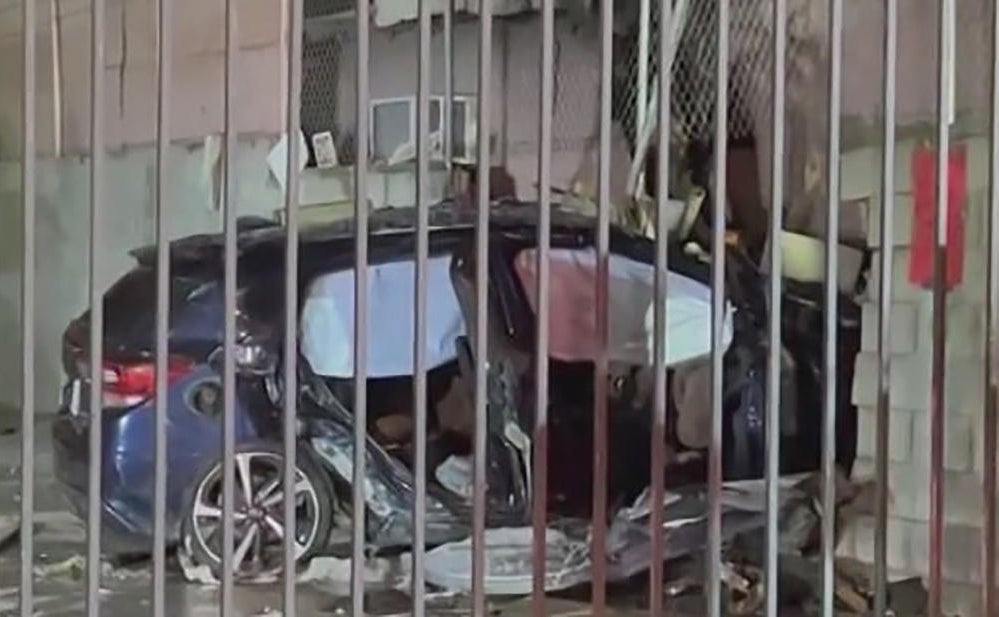 Puppies rescued after police pursuit in Pacoima ends in crash into wall ...