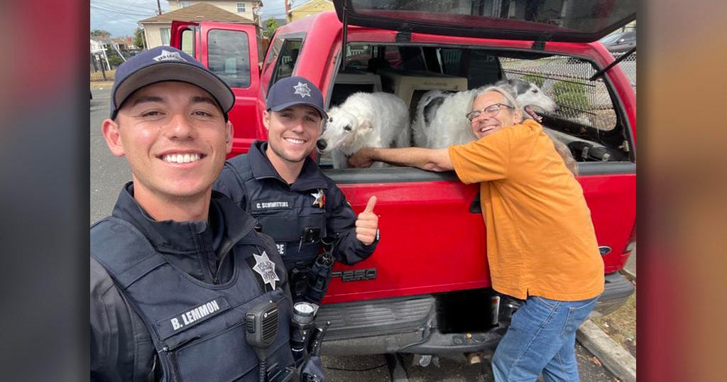 San Leandro police find dogs safe in owner's stolen SUV - CBS San Francisco