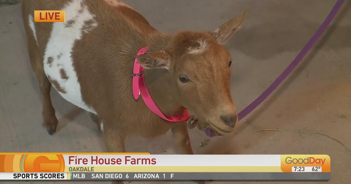 Fire House Farms - Good Day Sacramento