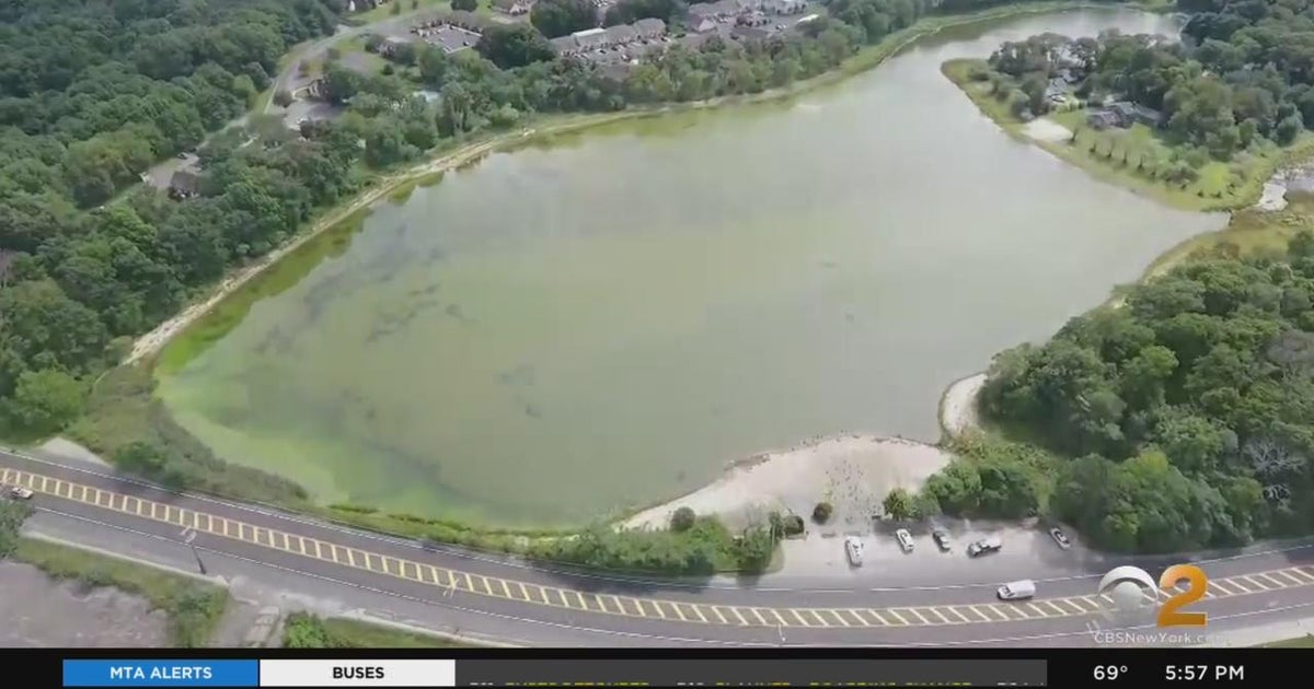 New plan to improve conditions along Long Island's South Shore ...