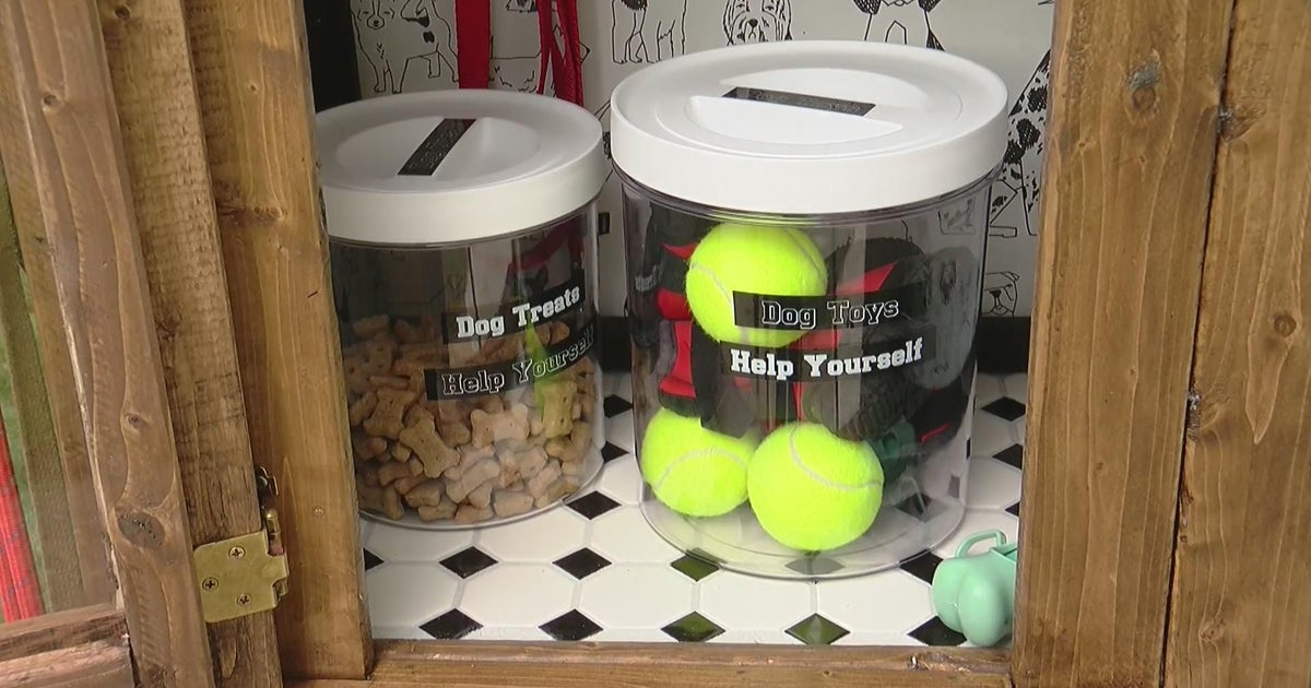 Minneapolis “Dog Library” built in memory of beloved pets - CBS Minnesota