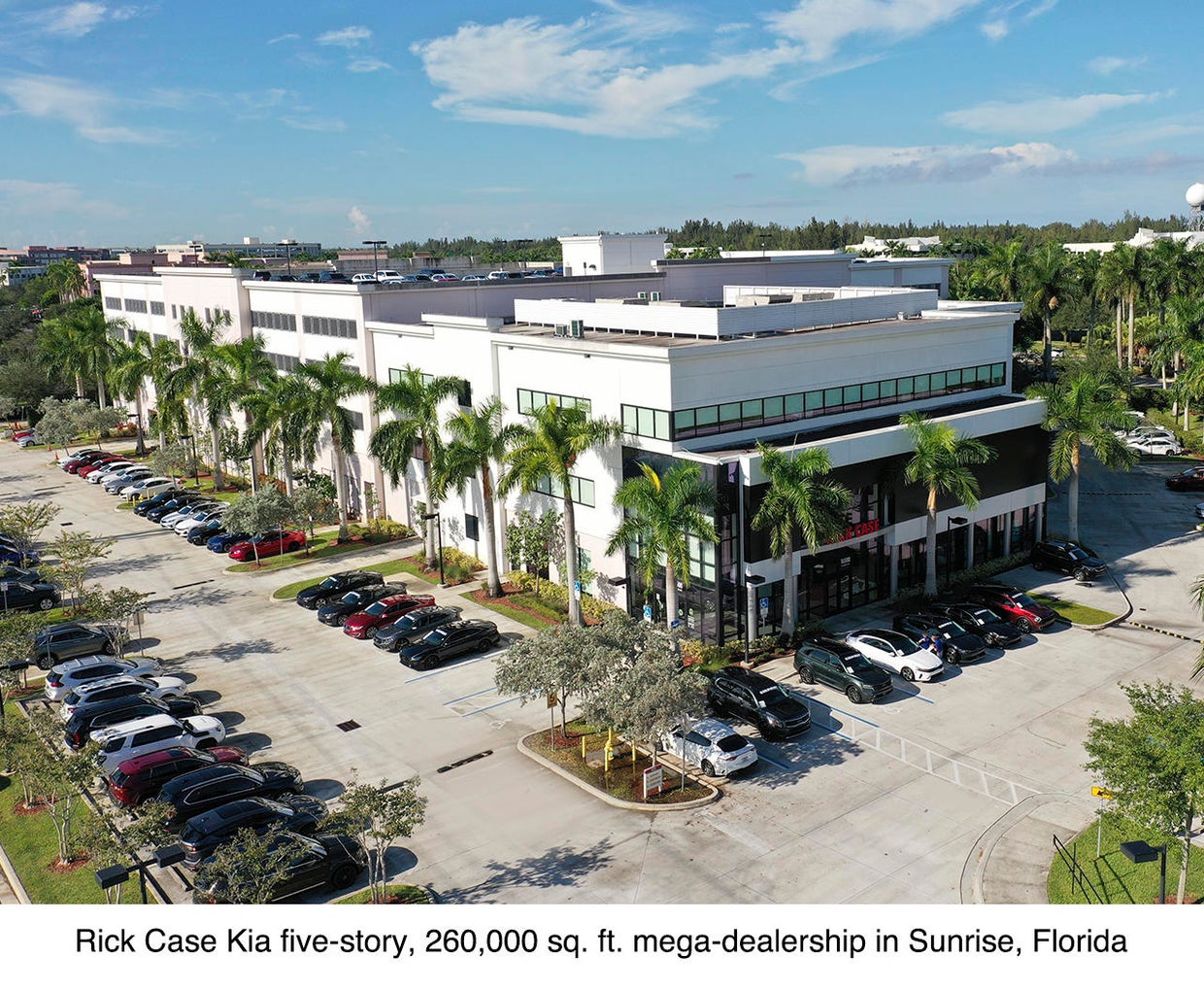 CEO of South Florida auto dealership group, one of the largest in the ...