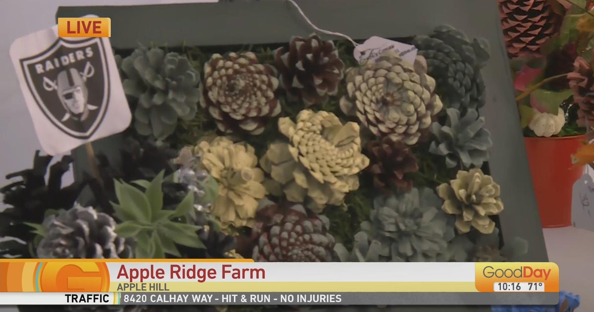 Fun at Apple Ridge Farm! - Good Day Sacramento