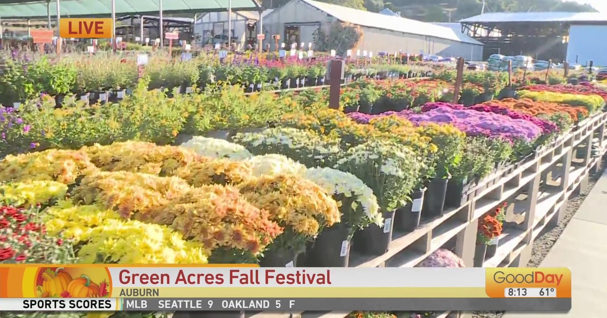 Fall Festival at Green Acres in Auburn! - Good Day Sacramento