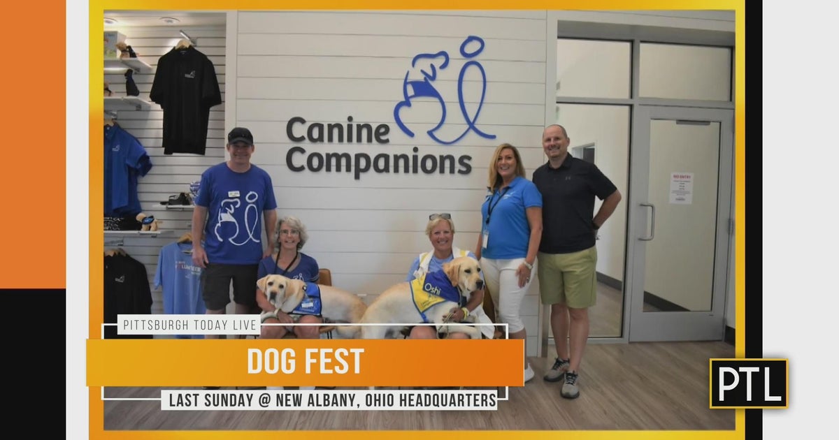 PTL Pupdate: Dog Fest - CBS Pittsburgh