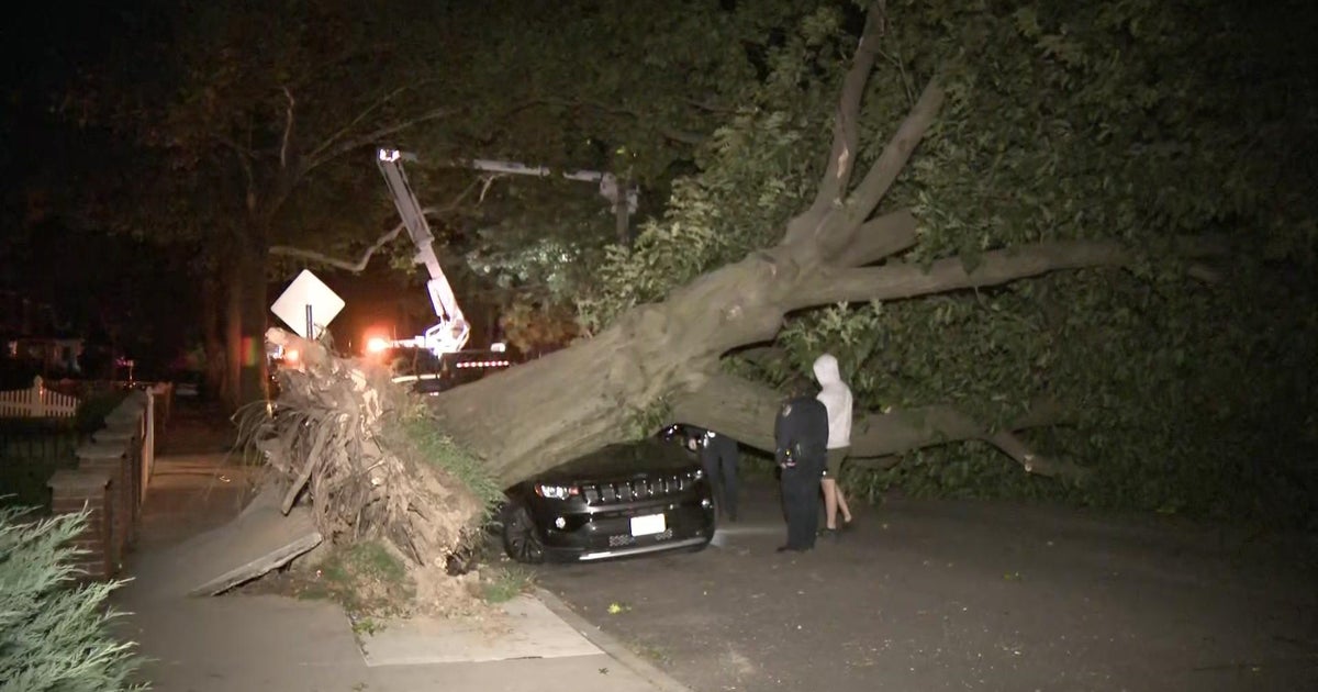 Downed tree crashes onto parked car, snaps utility pole in Queens - CBS ...