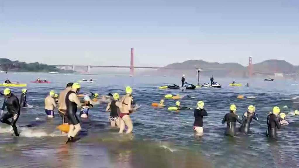 Hundreds swim along San Francisco waterfront to raise funds for cancer ...