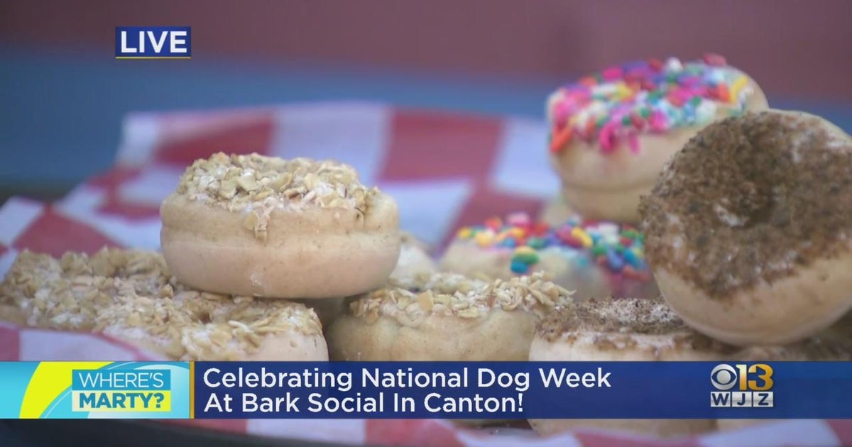 Bark Social in Canton has plenty planned this fall for Baltimore's pups ...