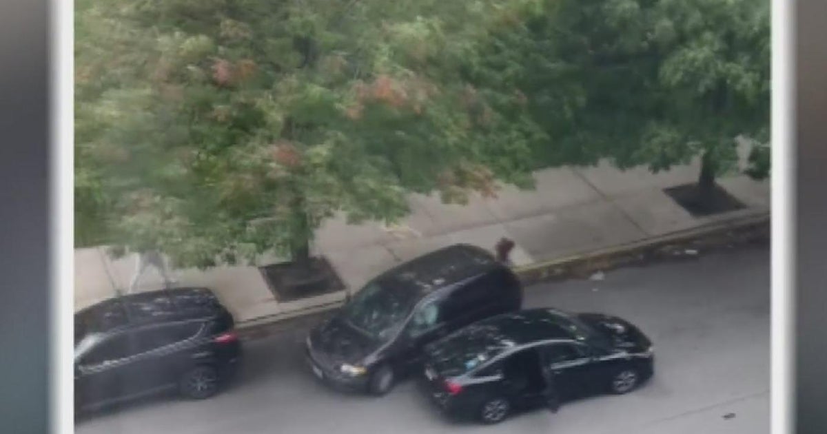 Chicago Police Investigating Attempted Abduction In The West Loop Cbs