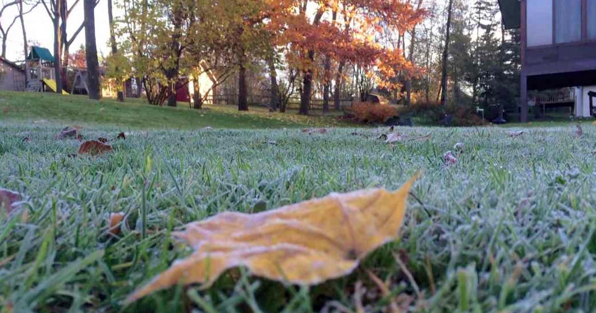 Frosty Friday: With the first frost of the year looming, what does it ...