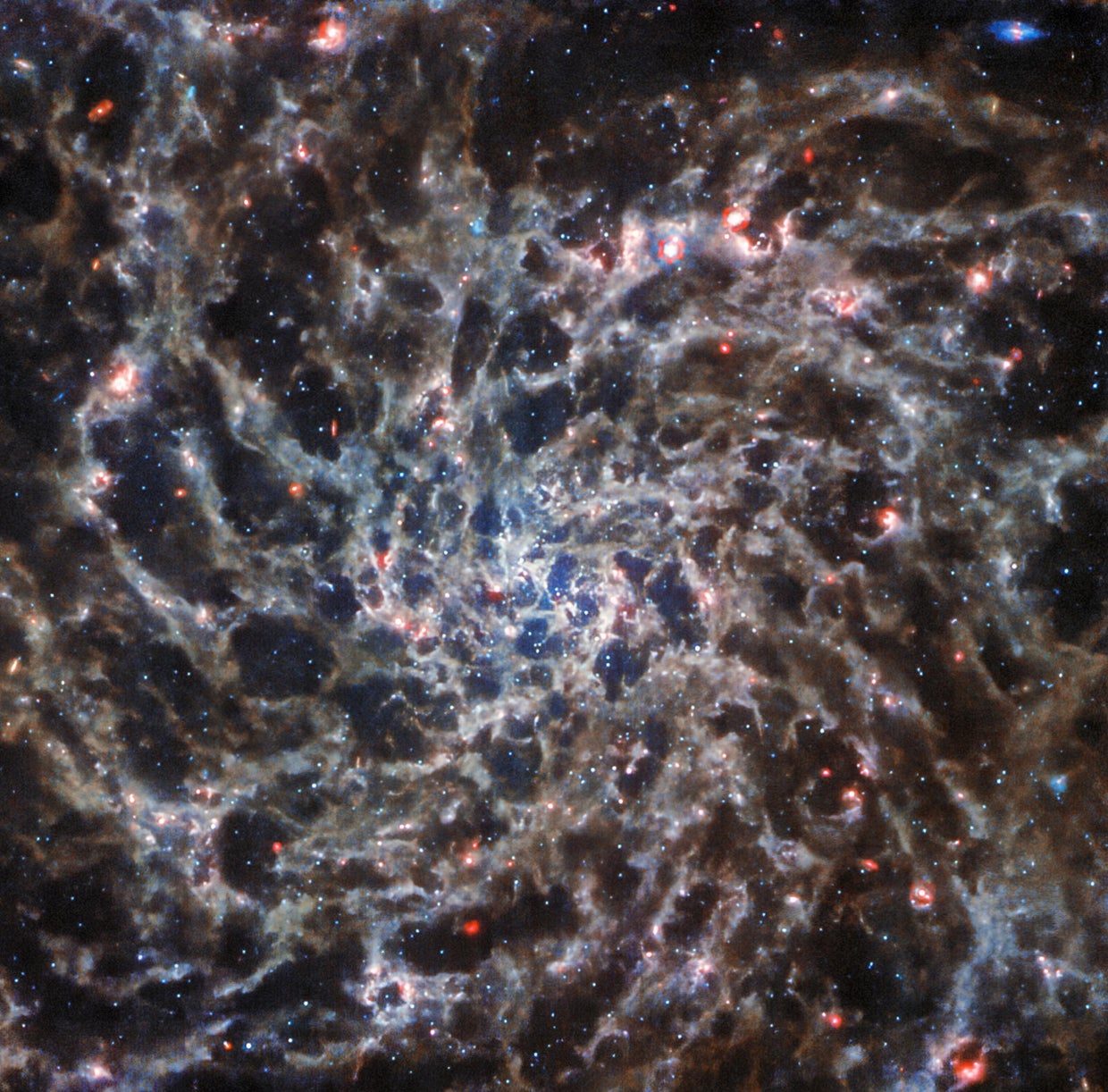 Spiral galaxy captured in 'unprecedented detail' by Webb telescope - CBS Baltimore