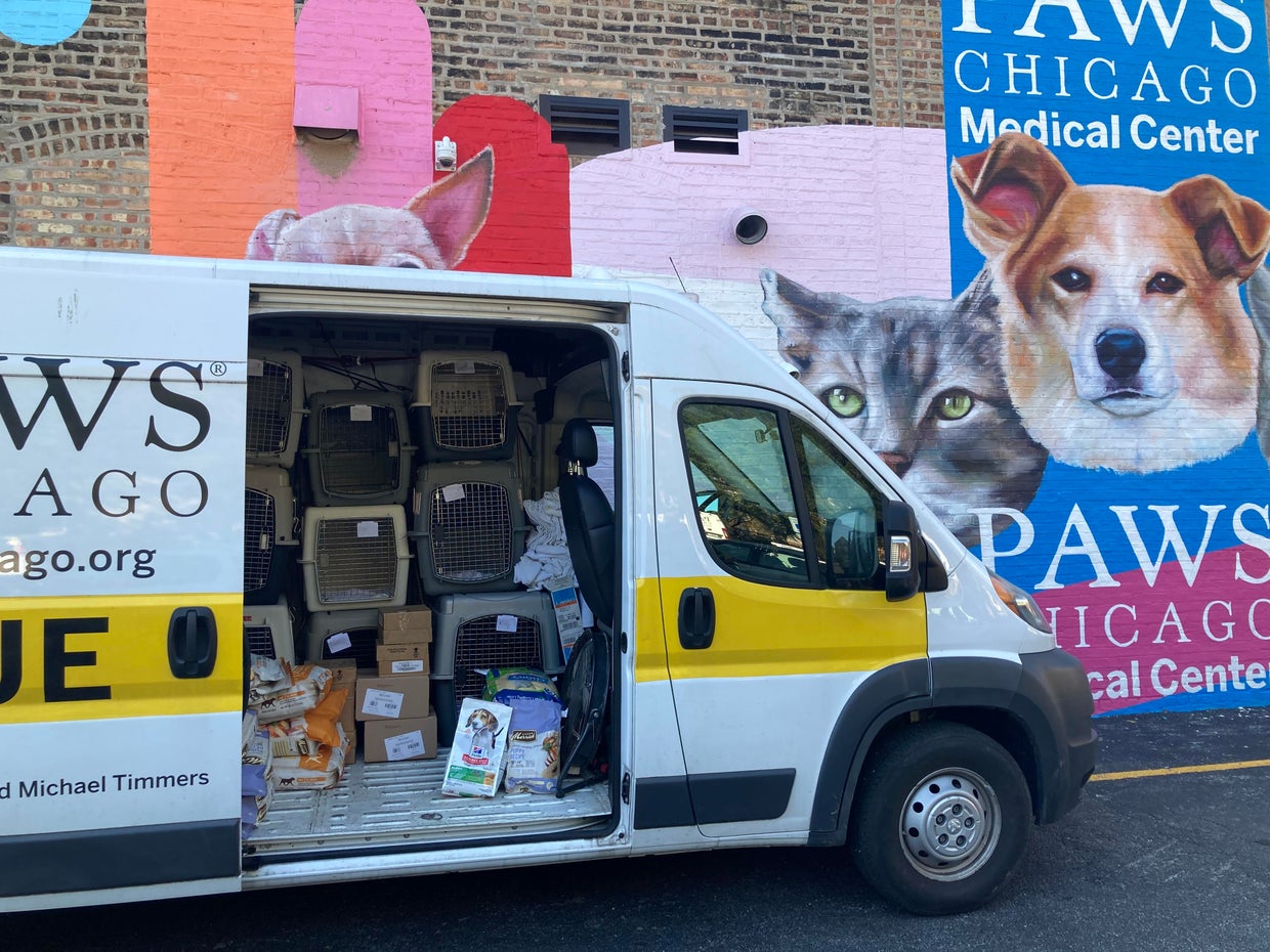 PAWS volunteers head to Florida's Gulf Coast to rescue abandoned pets ...