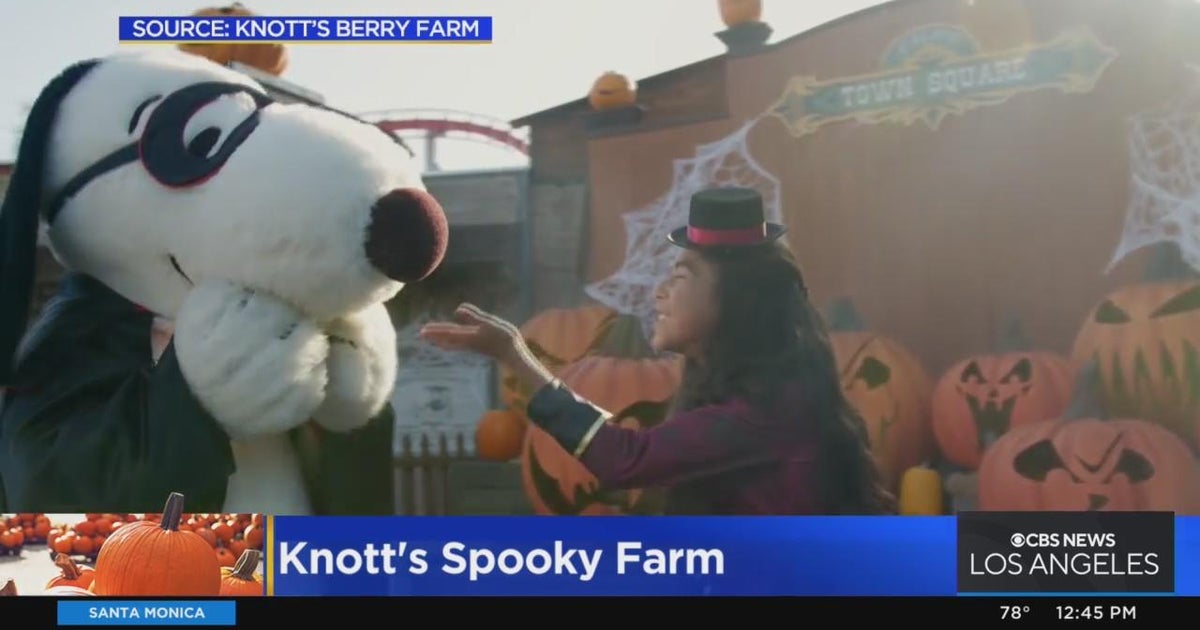 From events to food, this is what you can expect at Knott's Spooky Farm ...