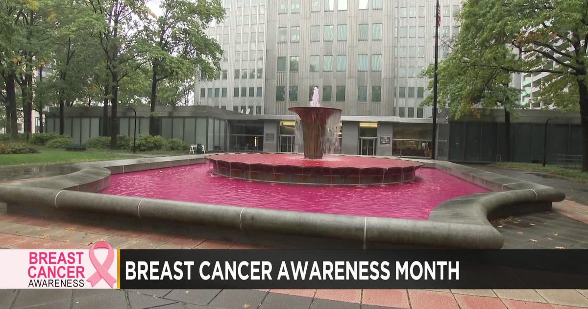 Breast Cancer Awareness Month Begins In Downtown Pittsburgh - CBS ...