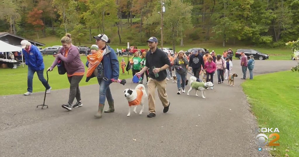 'It's a positive memory to remember his life:' 5th annual Mutt Strutt ...