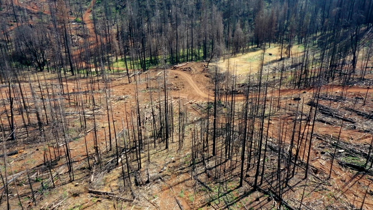 Residents of California town say U.S. Forest Service let Caldor Fire ...
