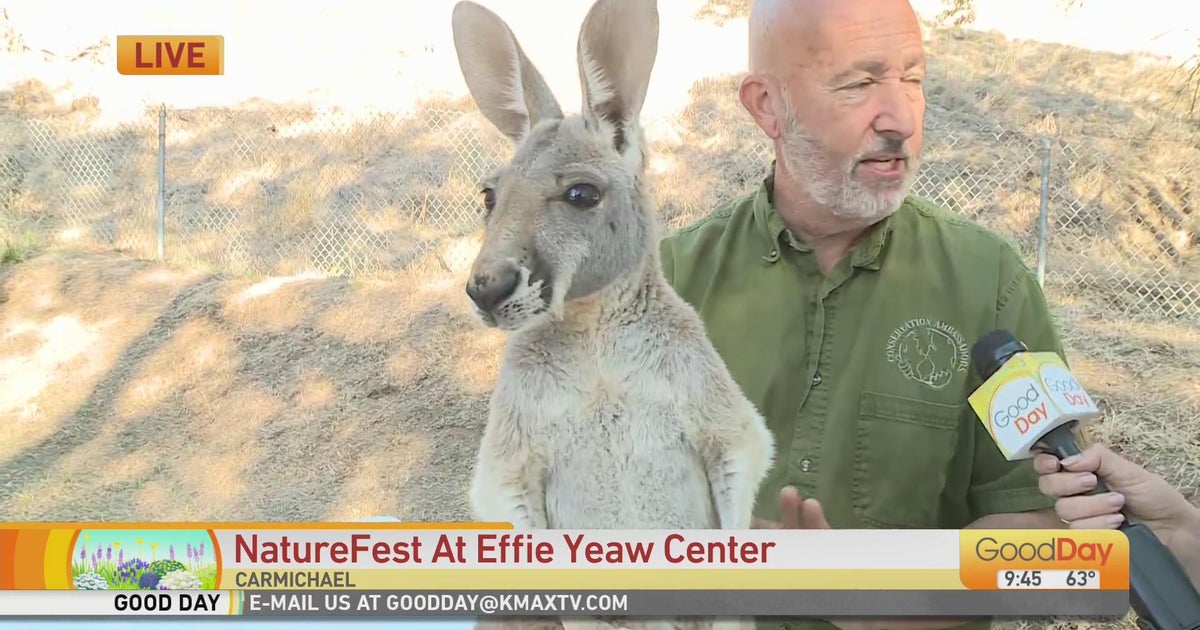 NatureFest at Effie Yeaw Center - Good Day Sacramento