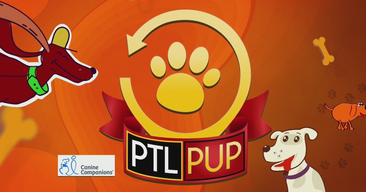 PTL Pupdate: Homecoming Edition - CBS Pittsburgh