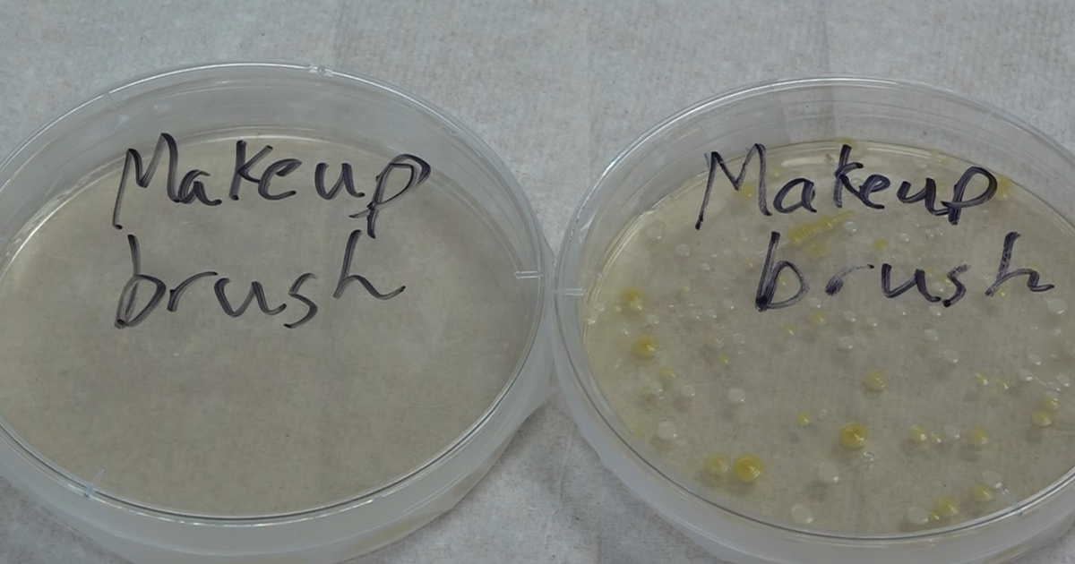 Science of Weather: Bacteria and mold growth - CBS Detroit