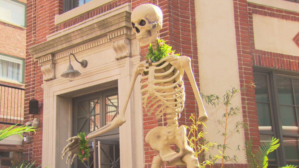 Cambridge restaurant offers reward for return of giant skeleton arm ...
