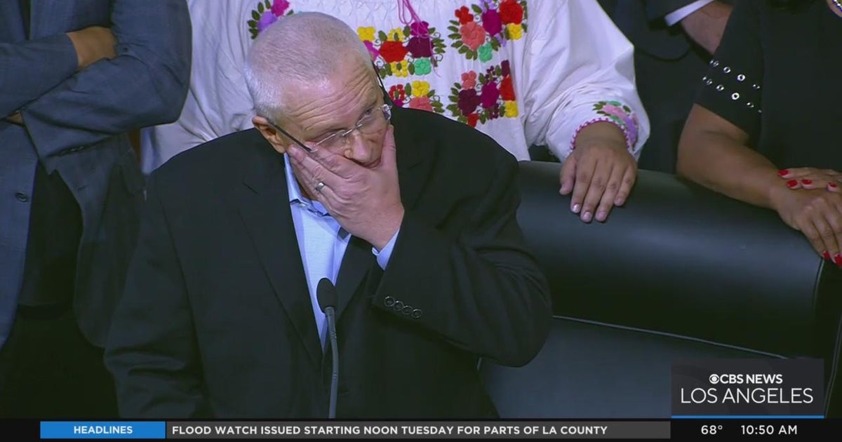 Watch: Councilman Mike Bonin addresses crowd at LA City Council meeting ...