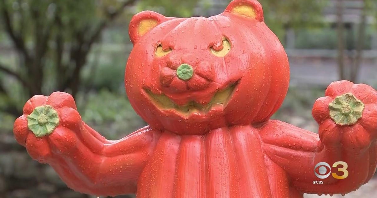 Philadelphia Zoo's annual "Boo at the Zoo" returns - CBS Philadelphia