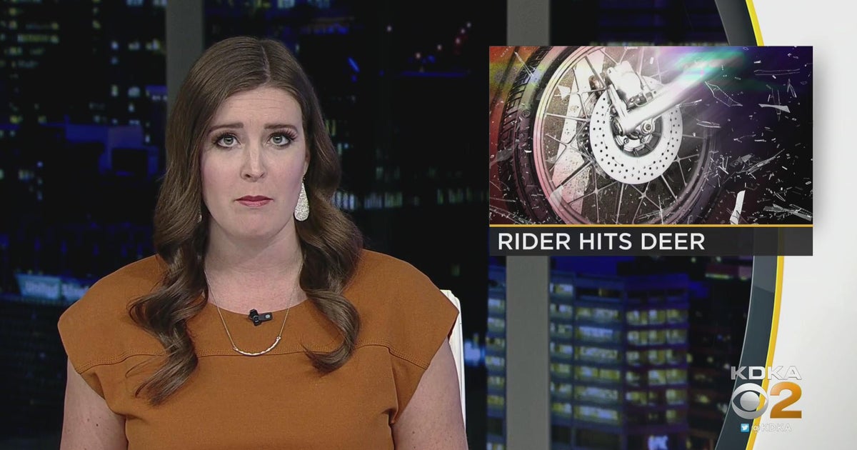 Motorcyclist hospitalized after hitting deer - CBS Pittsburgh
