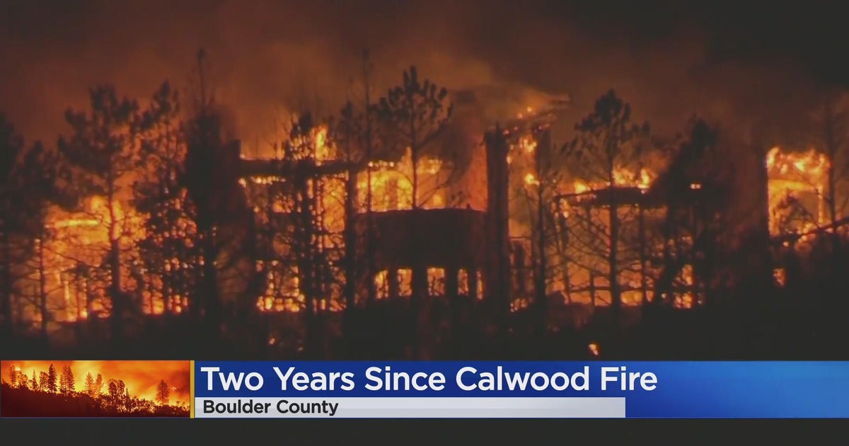 2 years after Calwood Fire, Boulder County works to preserve landscape ...