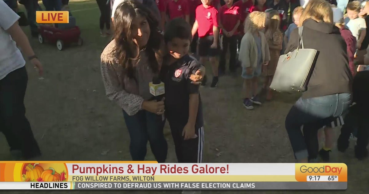 Fog Willow Farms, Part 2 - Good Day Sacramento