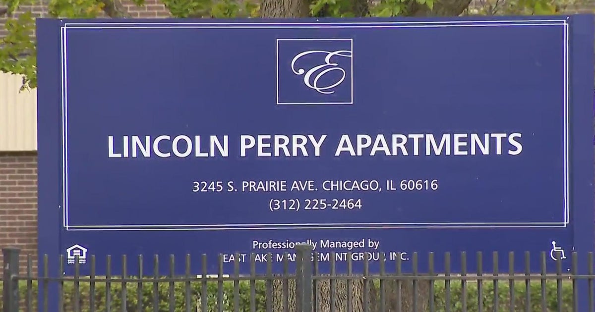 Bond denied for Chicago woman charged with killing 87-year-old mother ...